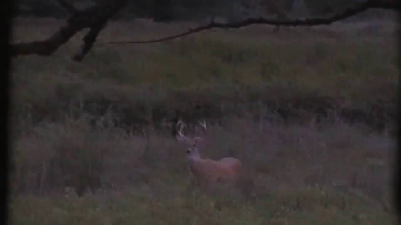 Young Bow hunter shoots buck with split G2 - YouTube