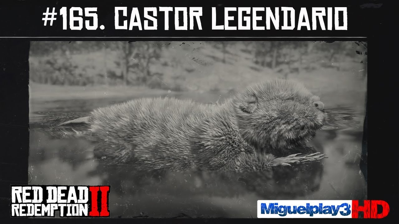 Localización Castor legendario - #165. Compendio Animales - Red dead ...