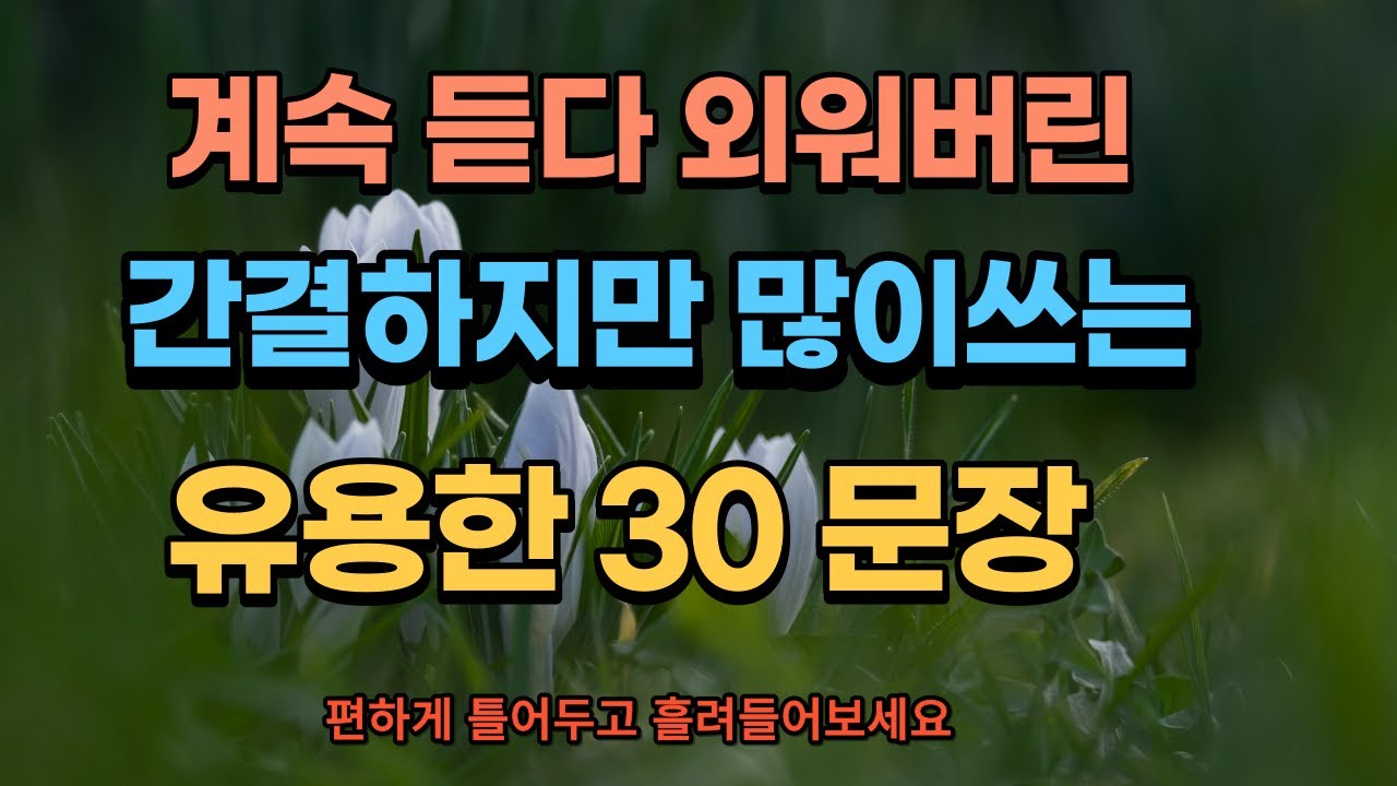 여행영어 왕초보자도 하루 30분 투자로 영어가 쉬워지는 방법 초보 영어회화 기초영어 여행지에서 정말 많이쓰이는 문장모음