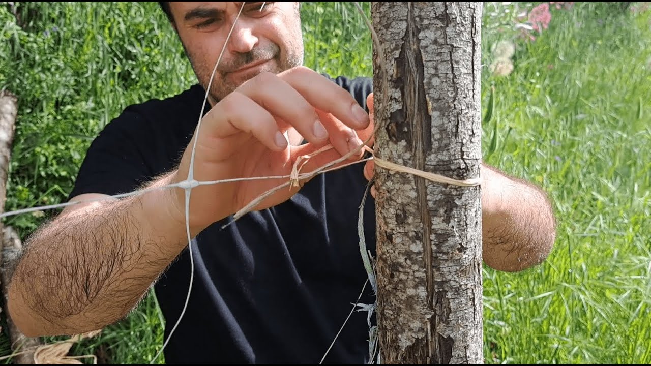 Come mettere la rete ai cetrioli - YouTube