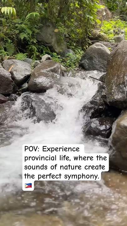Province Life. #provincelife #provincelifeinphilippines #coutryside #naturelovers #naturesounds ...