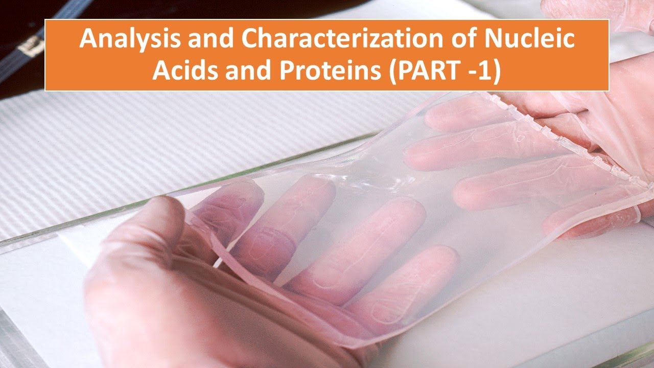 Lecture 17 : Analysis and Characterization of Nucleic Acids and ...