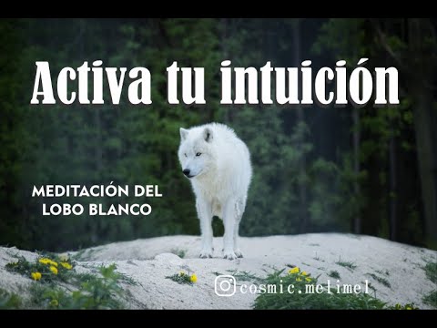 ACTIVA TU INTUICIÓN 🌑🪐- Meditación Lobo Blanco 🐺| Eleva tu vibración ...