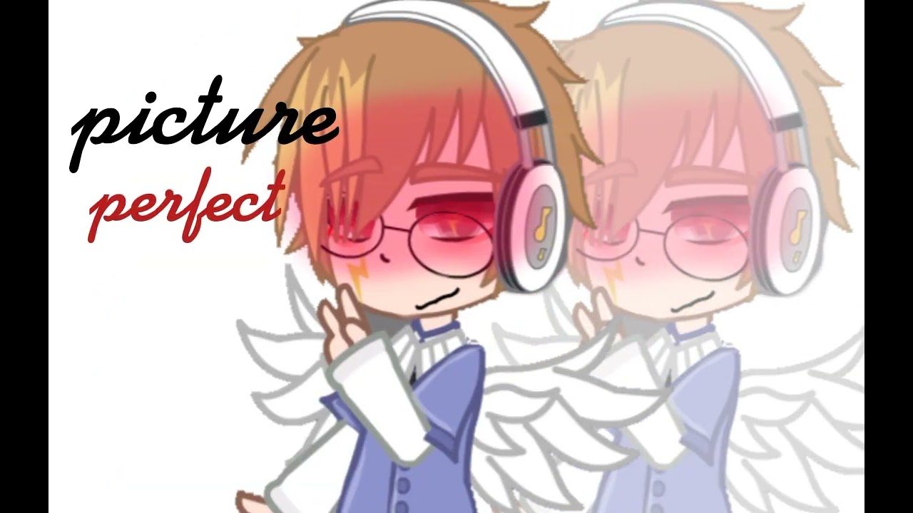 [picture perfect guy ] 🧐🍷[meme] - YouTube