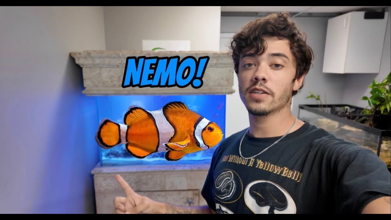 I Found NEMO!! Setting up a Clownfish Aquarium and Unboxing Rare GIANT ...