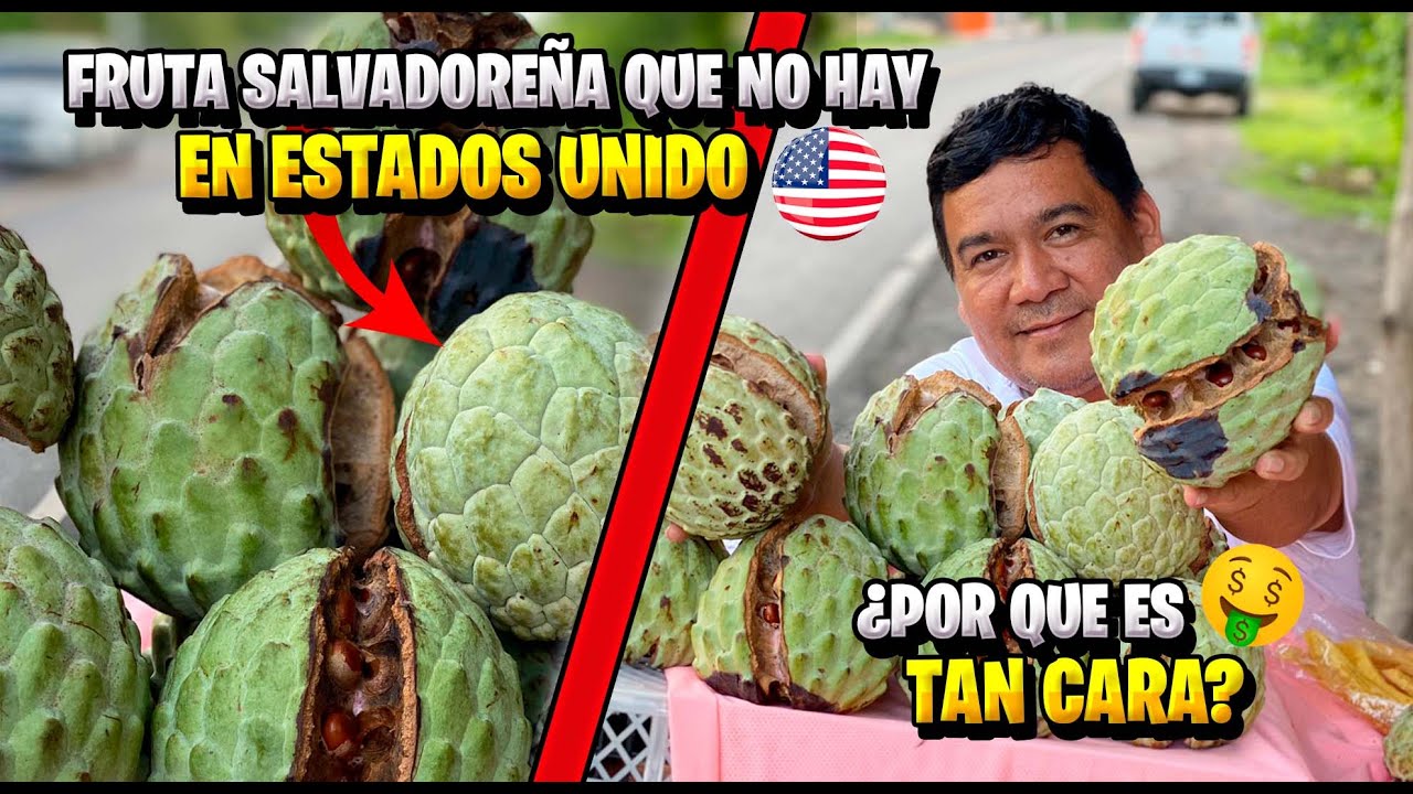 😲Inicia la temporada de ANONAS La fruta más esperada de El Salvador ...