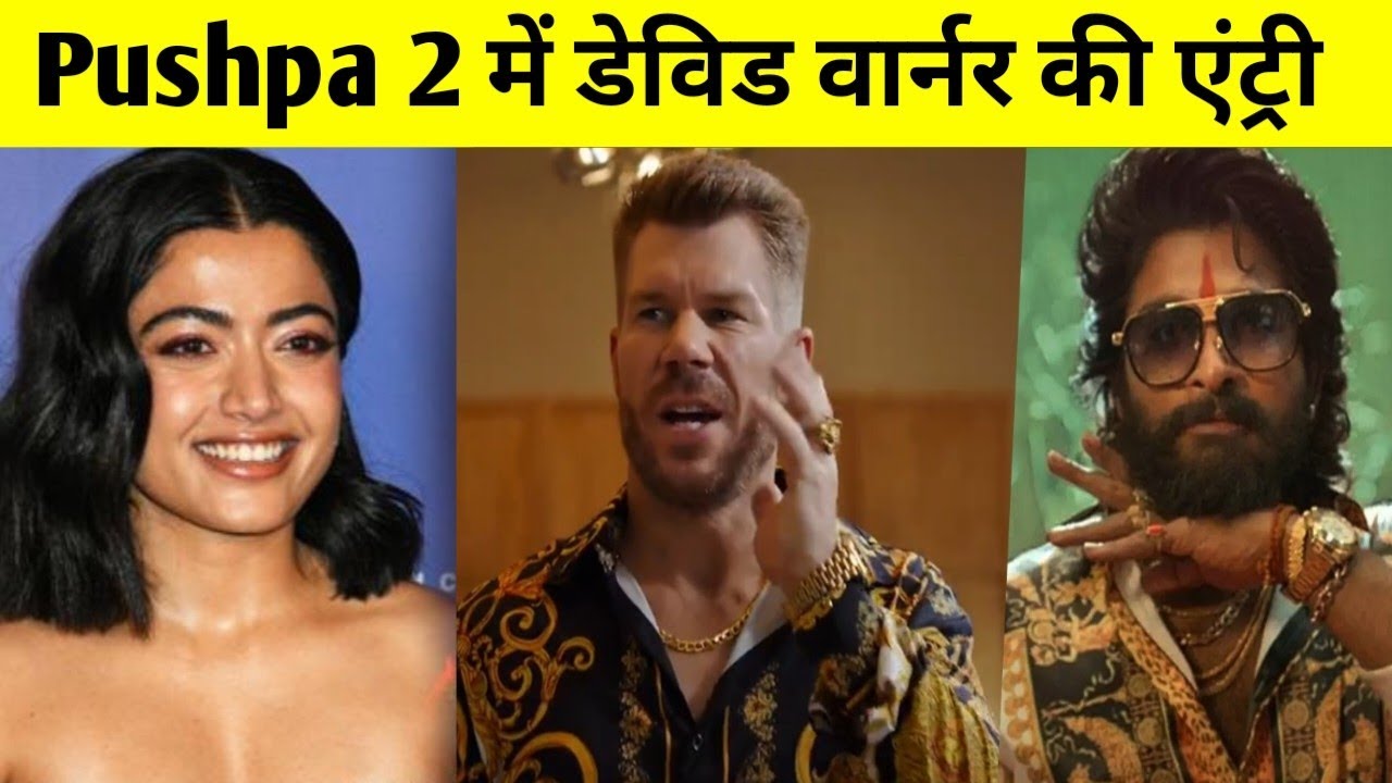 Film Pushpa 2 में David Warner निभा रहे हैं शानदार रोल l David Warner's ...