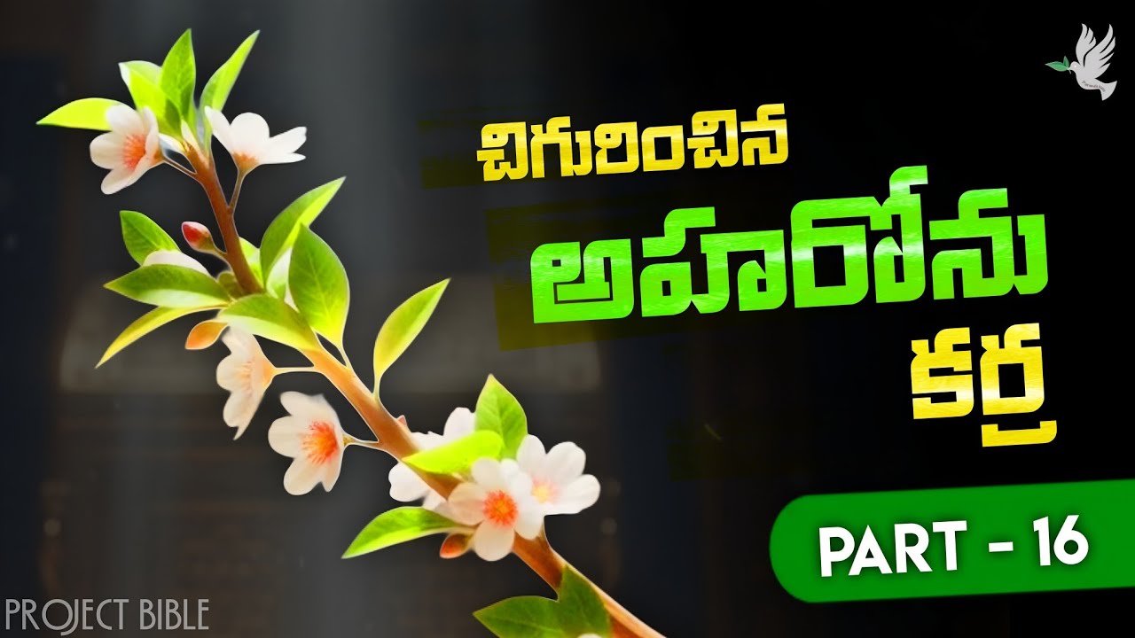 Aaron’s Staff Bloomed | చిగురించిన ఆహారోను కర్ర | Moses ( Part 16 ...