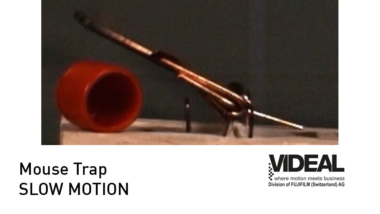 Mouse trap 10'000 fps | Slow Motion | CHROMOS Industrial - YouTube