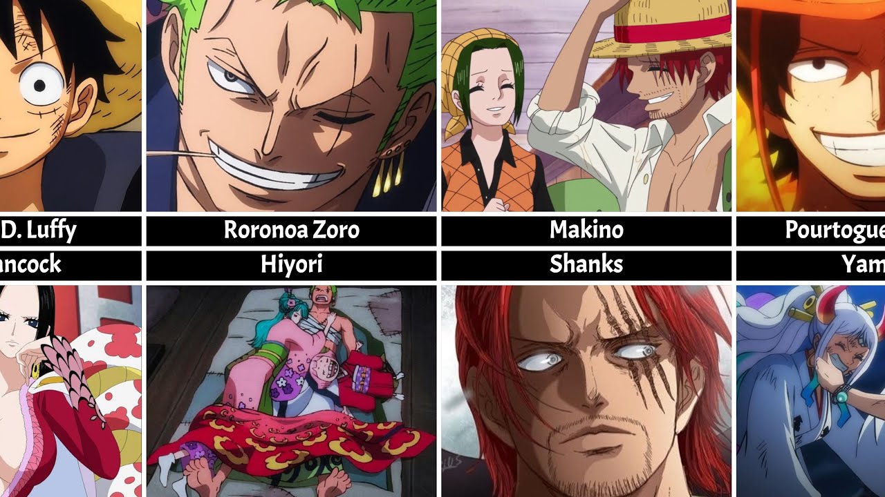 Romantic relationships among the characters of One Piece - Who is in ...