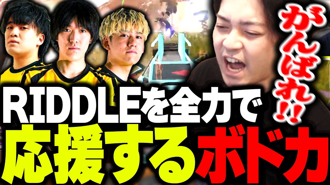 【ALGS】新生RIDDLEが魅せる、頭脳派な戦いを全力で応援するオーナーのボドカ【RIDDLE/APEX】 - YouTube