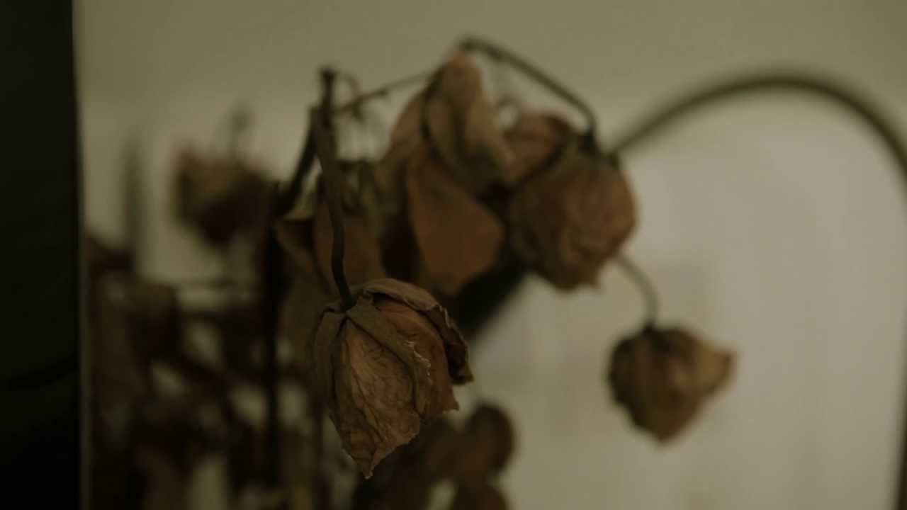 D Minor (Official Trailer) - YouTube