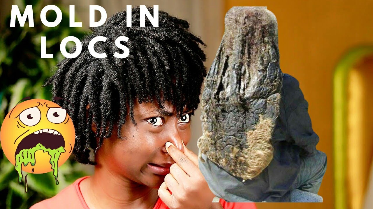MOLD IN LOCS: CAUSES, PREVENTION AND TREATMENT - YouTube
