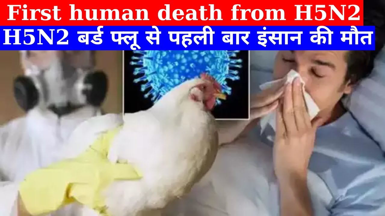 First human death from H5N2 bird flu | H5N2 बर्ड फ्लू से पहली बार इंसान ...