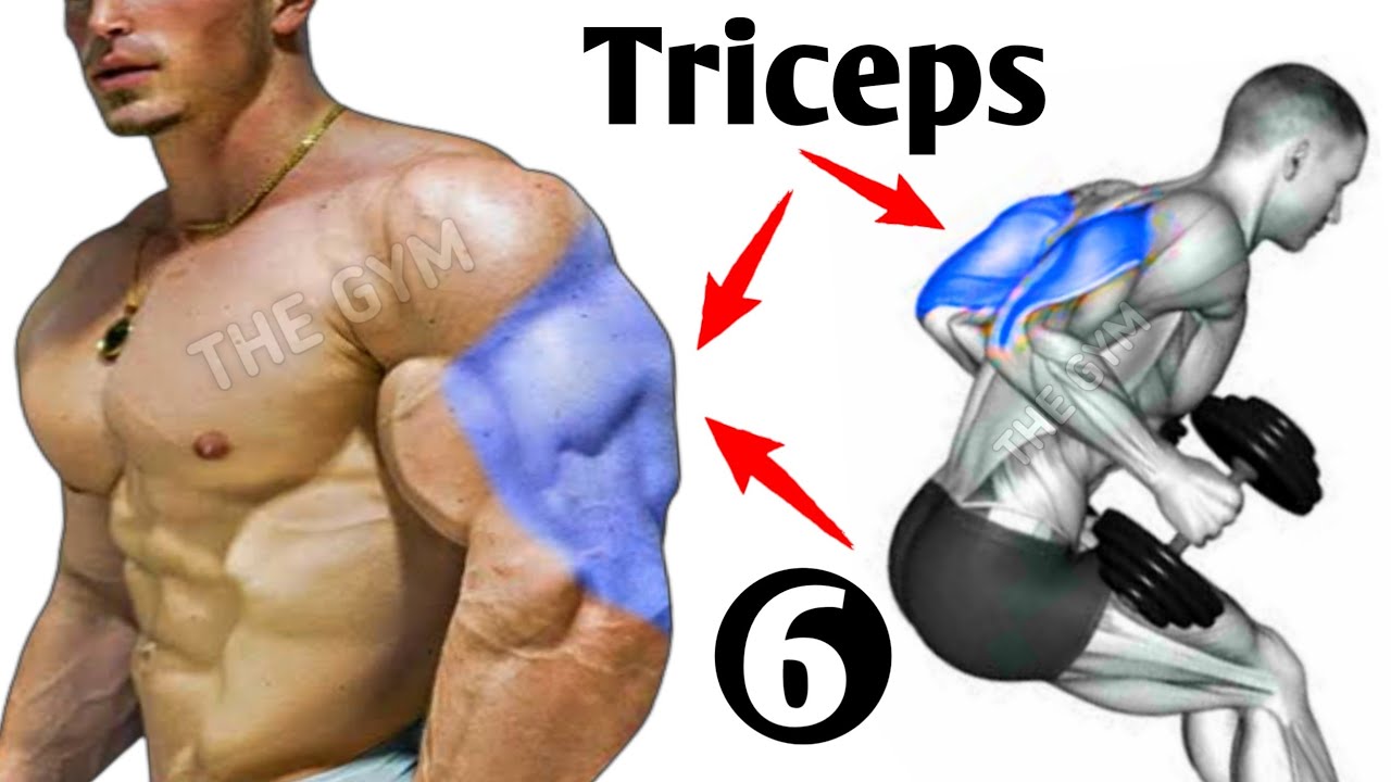 6 Huge Triceps workout at gym - THE GYM - YouTube