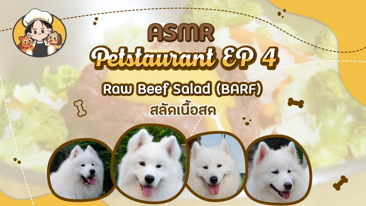 Raw Beef Salad (Barf) - Healthy Homemade Dog Food | Petstaurant EP4 ...