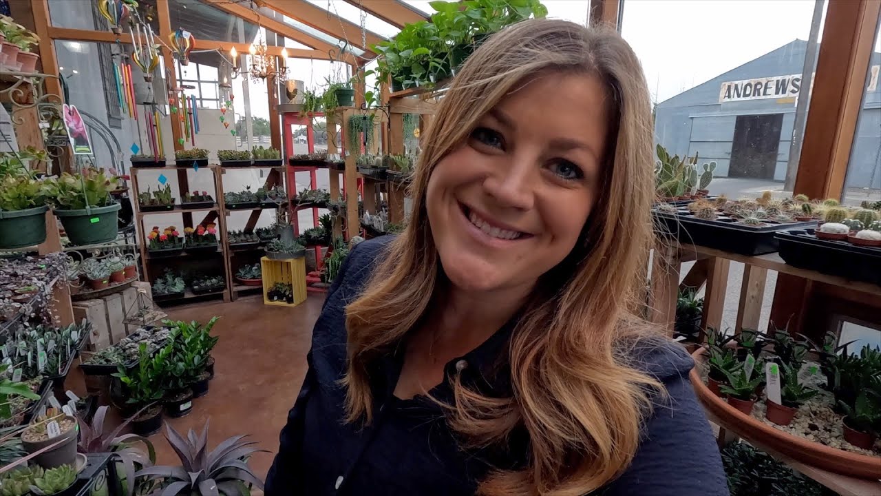 New Load of Houseplants at the Garden Center Tour! 🌿🙌🌿 // Garden Answer ...