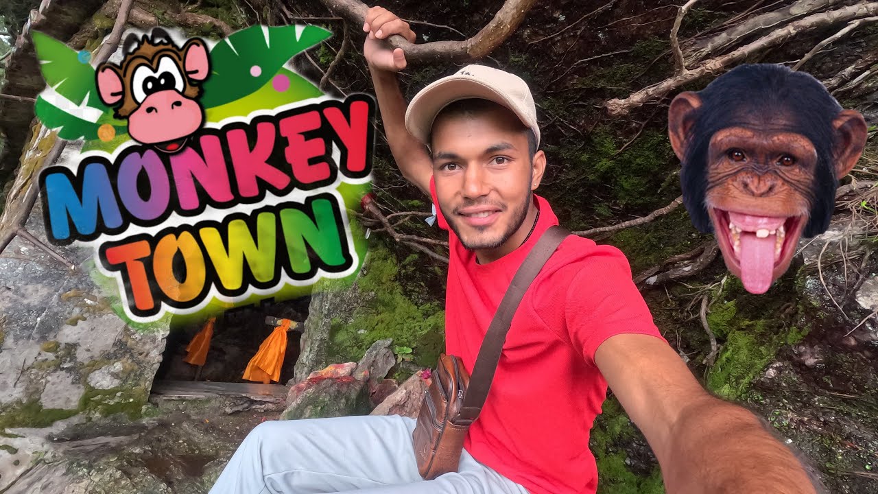 Monkey Town - YouTube