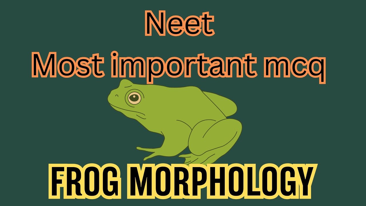 neet most important MCQ| Frog morphology part 1 - YouTube
