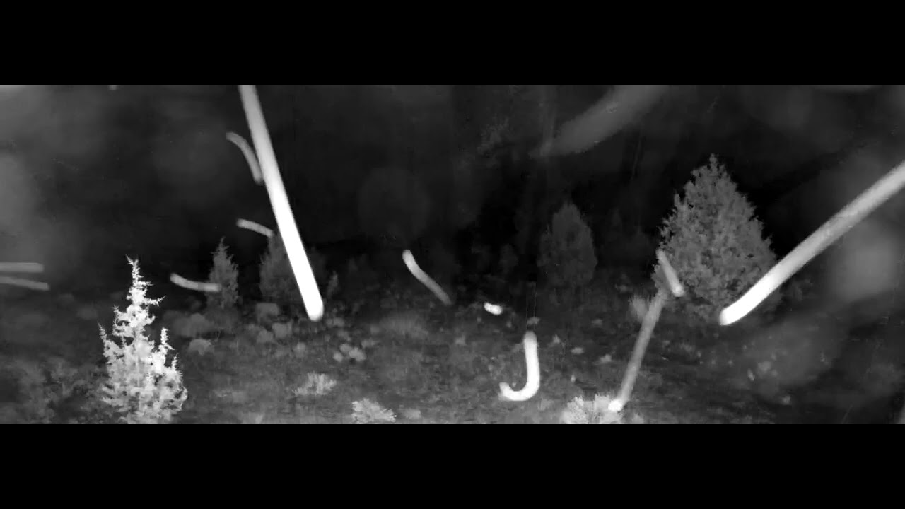 Bats chasing bugs at my off-grid remote-controlled ham radio site ...