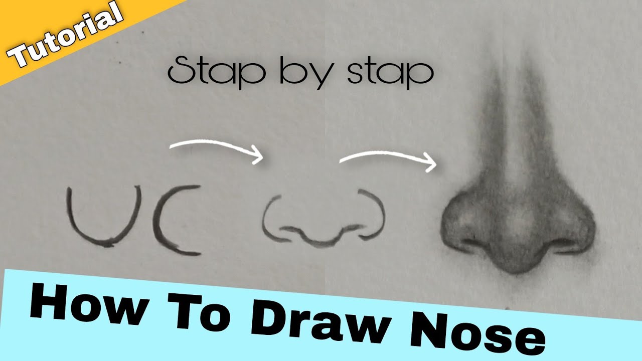 How to draw nose stap by stap || for beginners || - YouTube