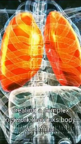FASCIA..... emotions.....mind...body....... everything is CONNECTED ...