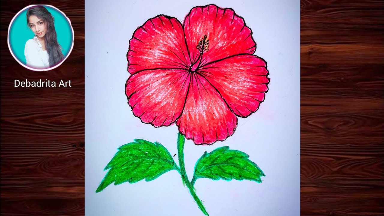 How to draw easy china rose🌺 || Hibiscus flower drawing step by step ...