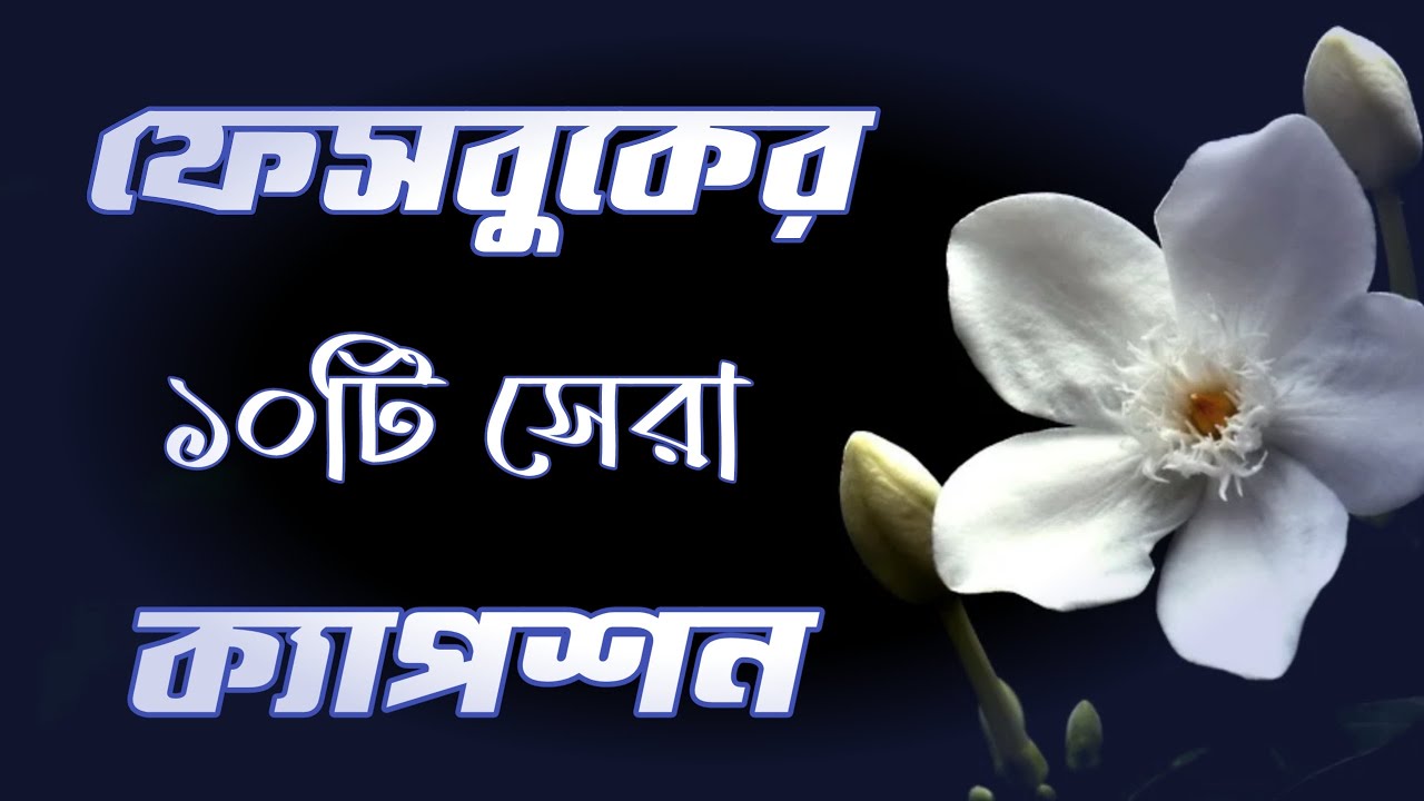 Bengali facebook caption | Bengali facebook photo caption. - YouTube