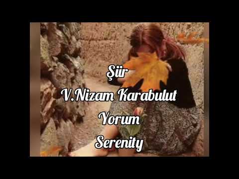 Vahit Nizam Karabulut