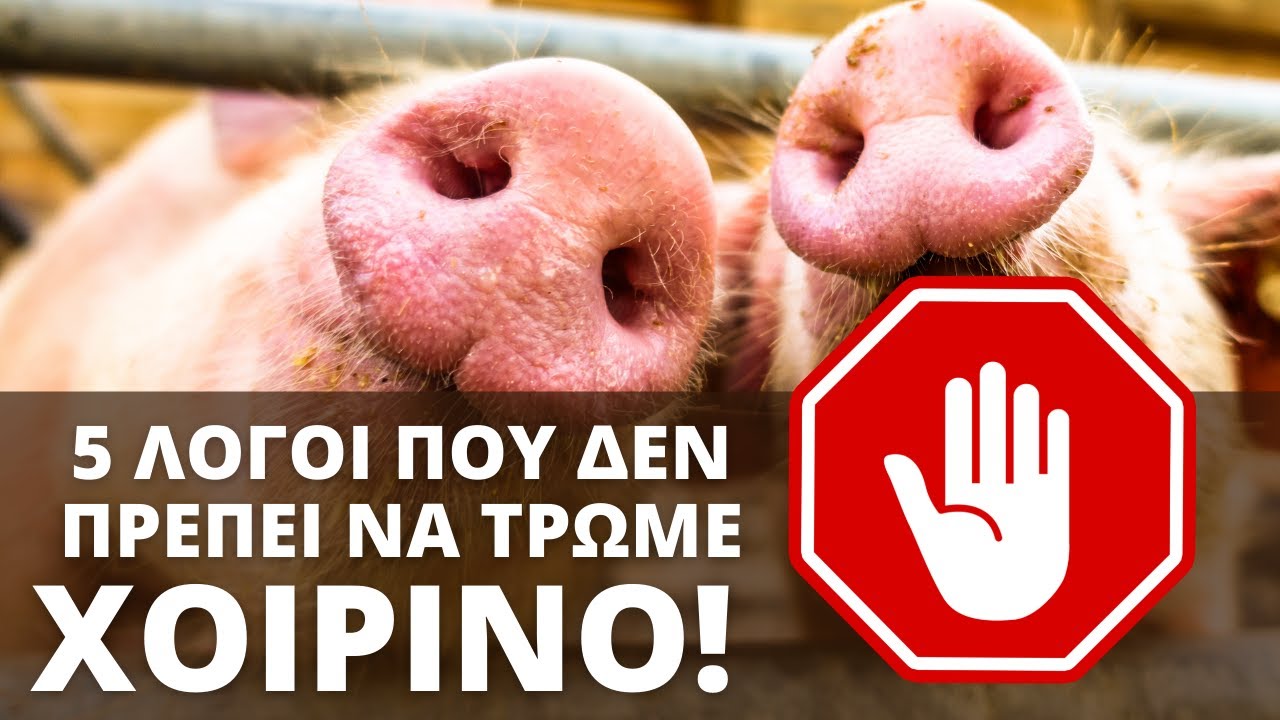 5 λόγοι που δεν πρέπει να τρώτε χοιρινό - YouTube