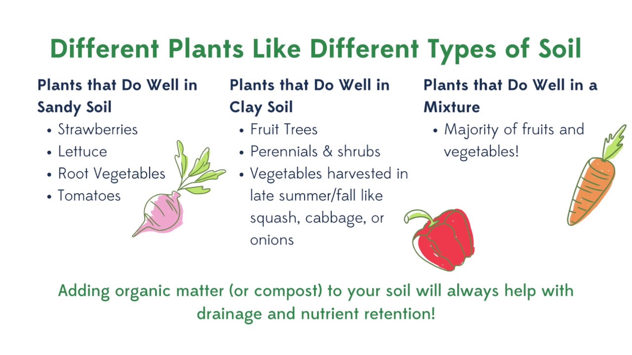 Soil Shake Test - YouTube