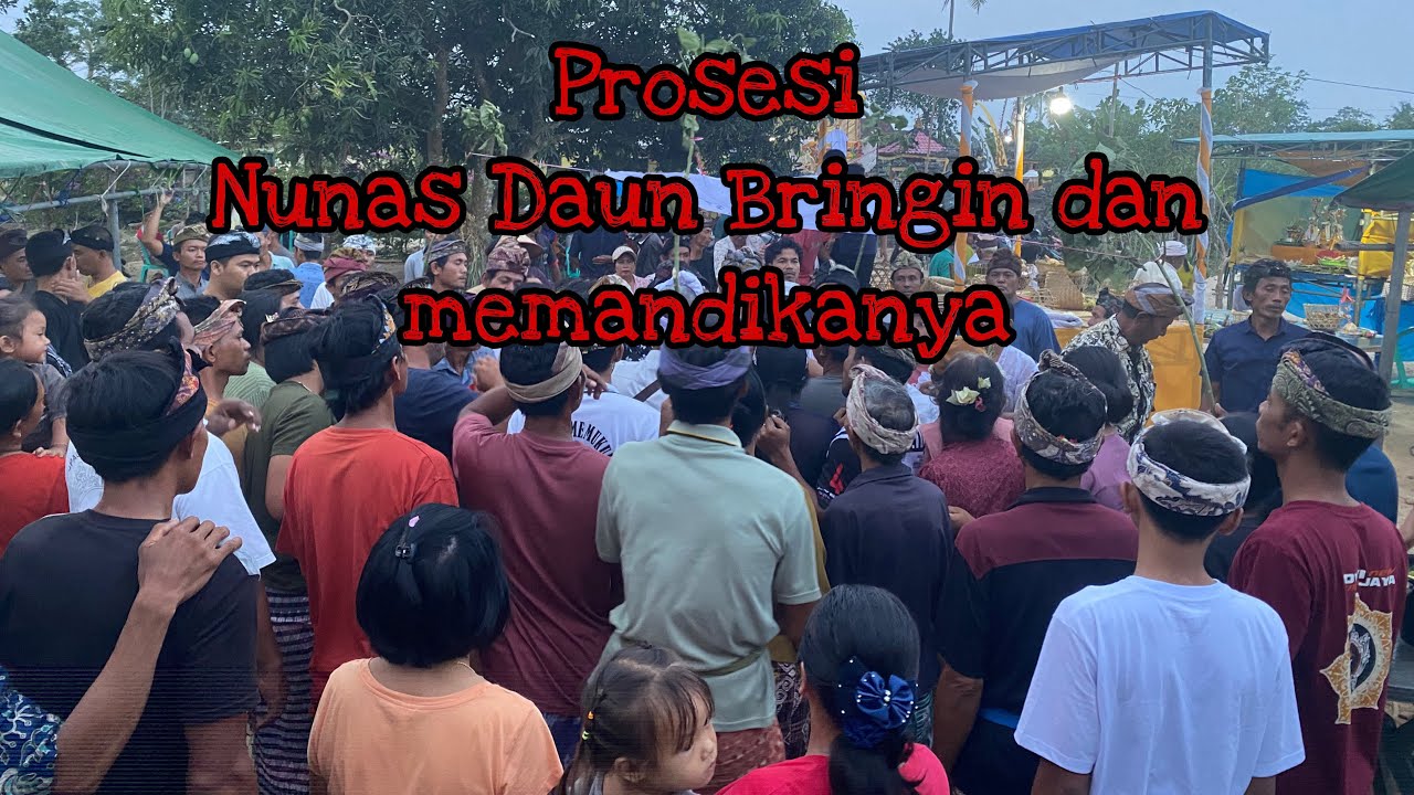 Part 2 Nganget daun Bringin dan Ngaskara - YouTube