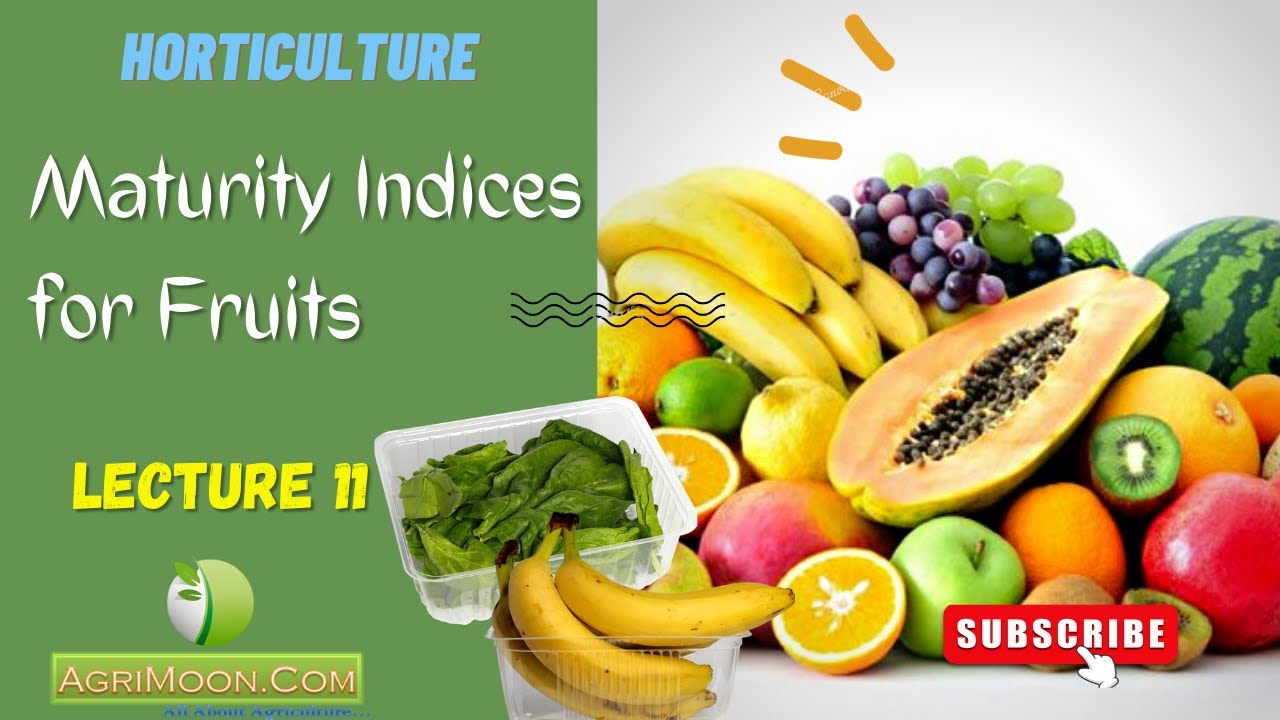 Maturity Indices for Fruits | Horticulture | Lecture 11 | Debjani ...