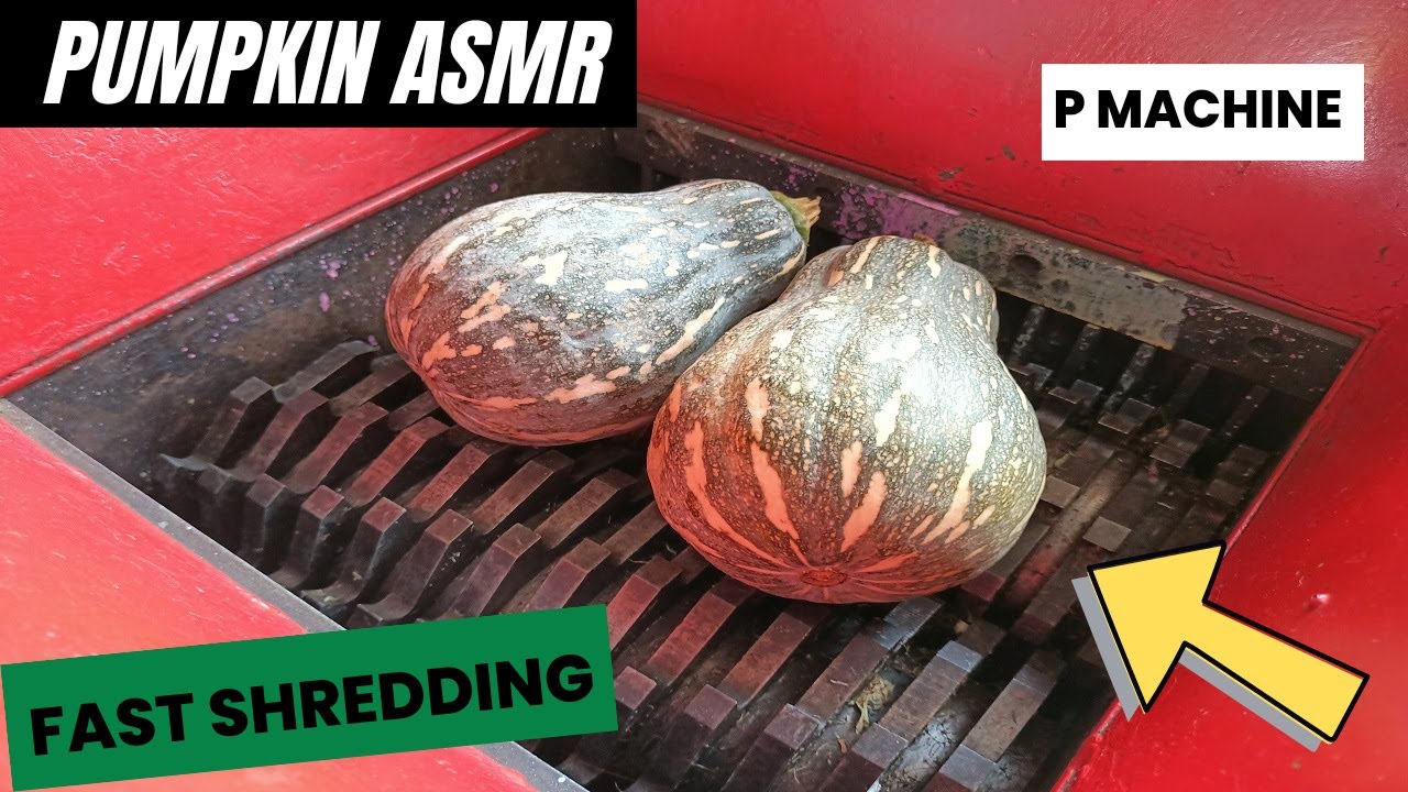 Simple shredding | Pumpkin vs fast shredder machine - YouTube