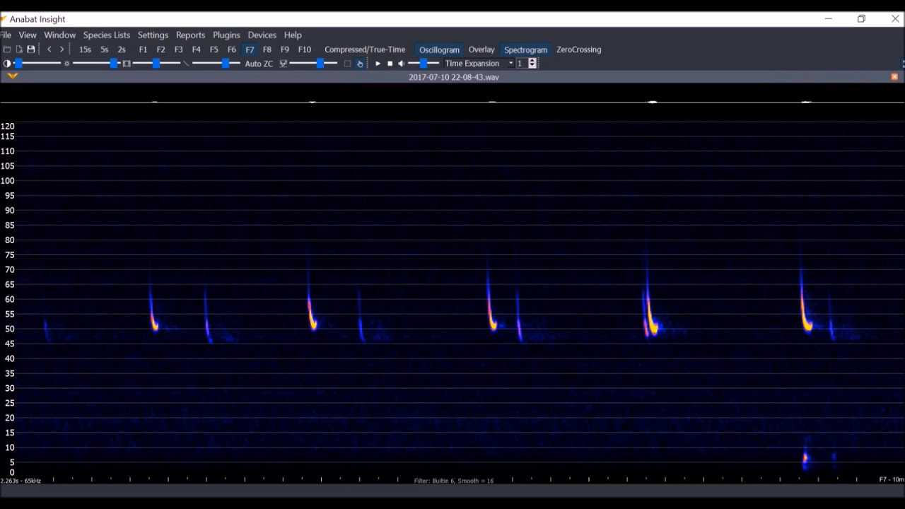 Anabat Insight Getting Started Tutorial Video - YouTube