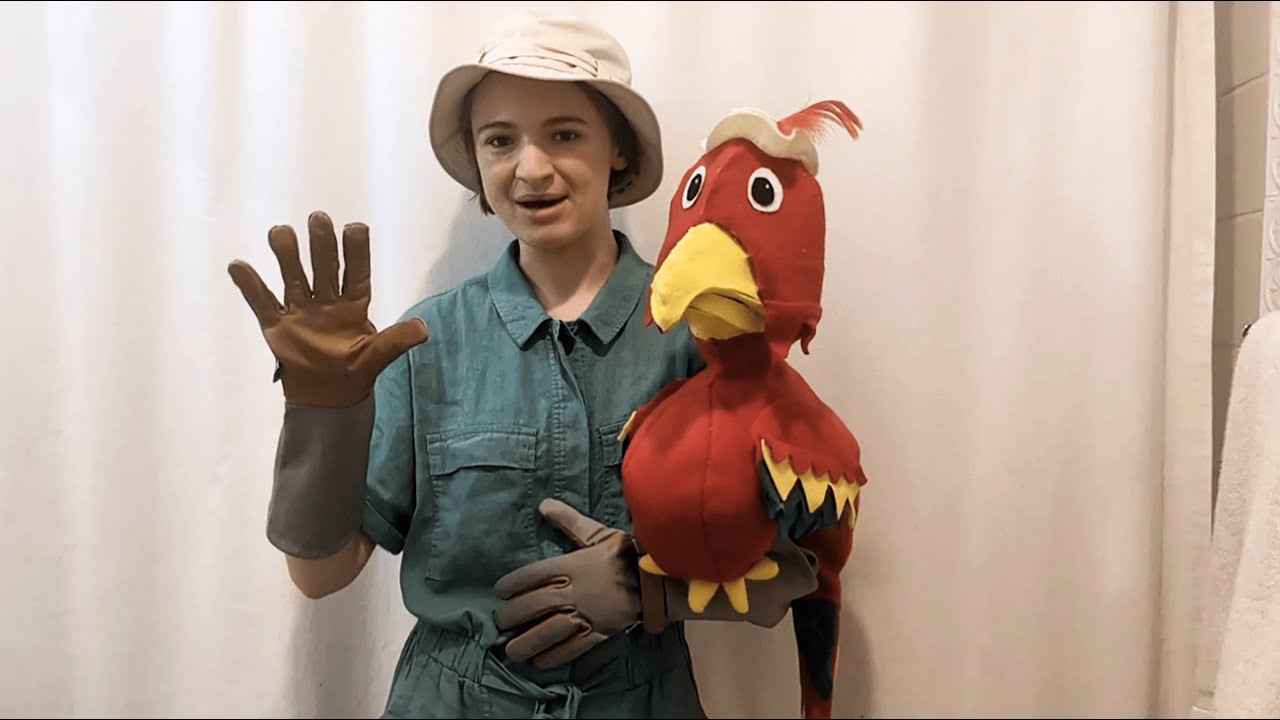 Parrot Puppet With Secret Illusion Hand! - YouTube
