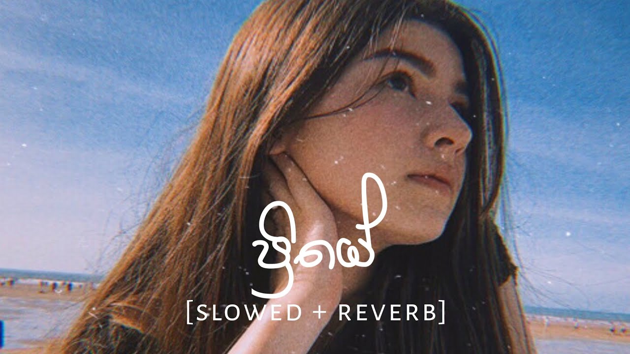 Priye song [slowed + reverb ]ප්‍රියේ || shanudrie new song - YouTube