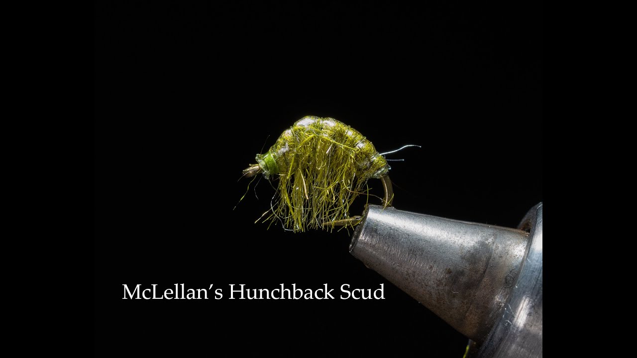 McLellan's Hunchback Scud Fly Tying Instructions by Michael Falkoff ...