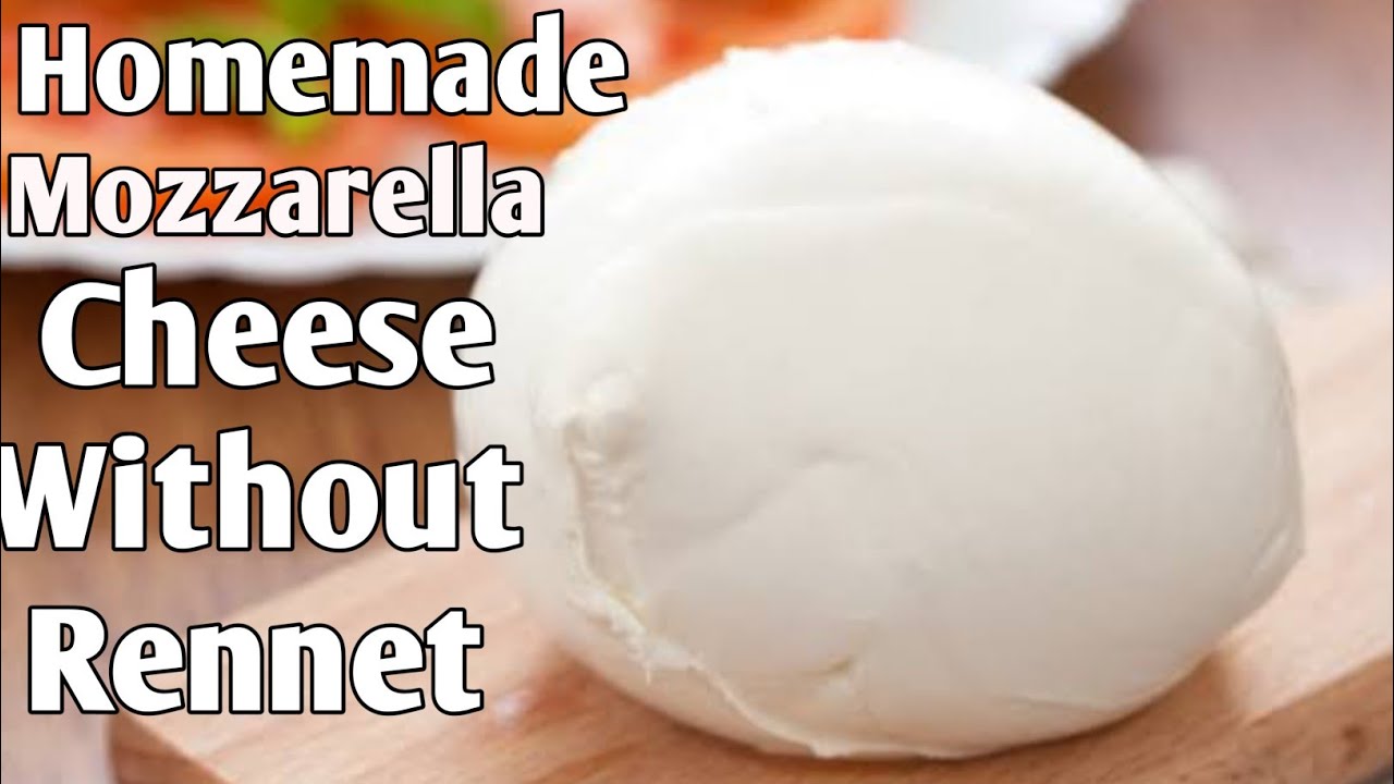 Mozzarella Cheese Recipe | Homemade Mozzarella Cheese without Rennet ...
