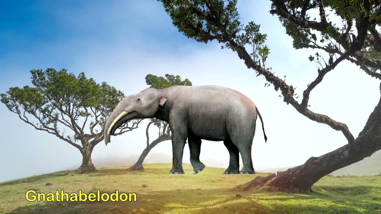 Prehistoric Elephants