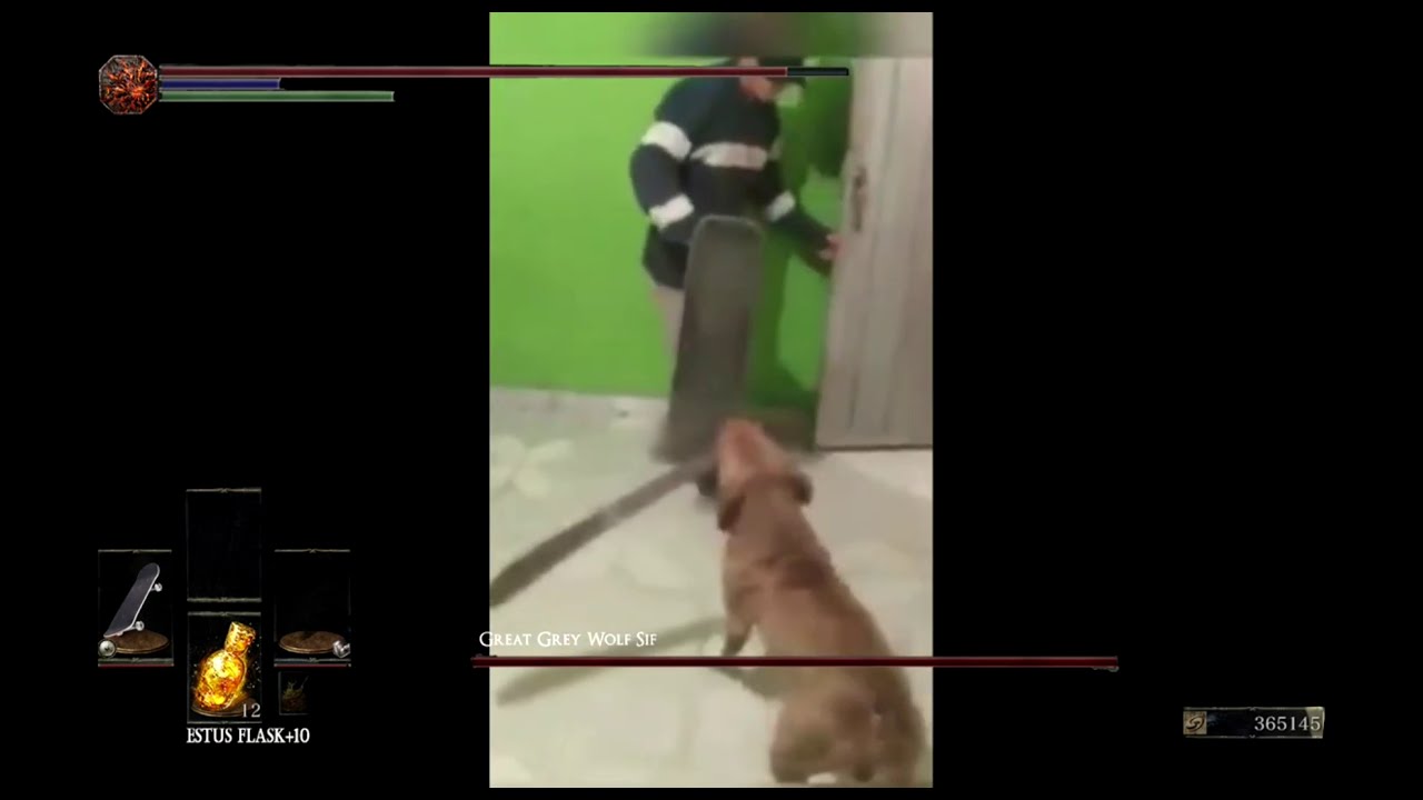 Dark souls doggo/ Sif The Great Grey Wolf. - YouTube