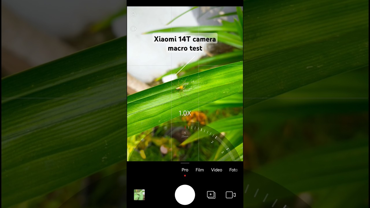 Xiaomi 14T camera #macro #photography #xiaomi14t #leica #android