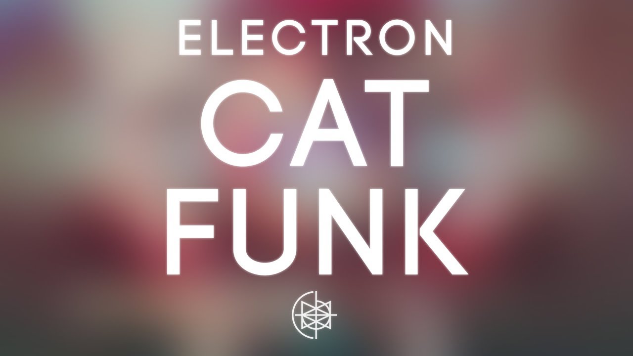 Electron - Cat Funk - YouTube