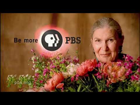 PBS 2002-2010 GRAPHIC REEL