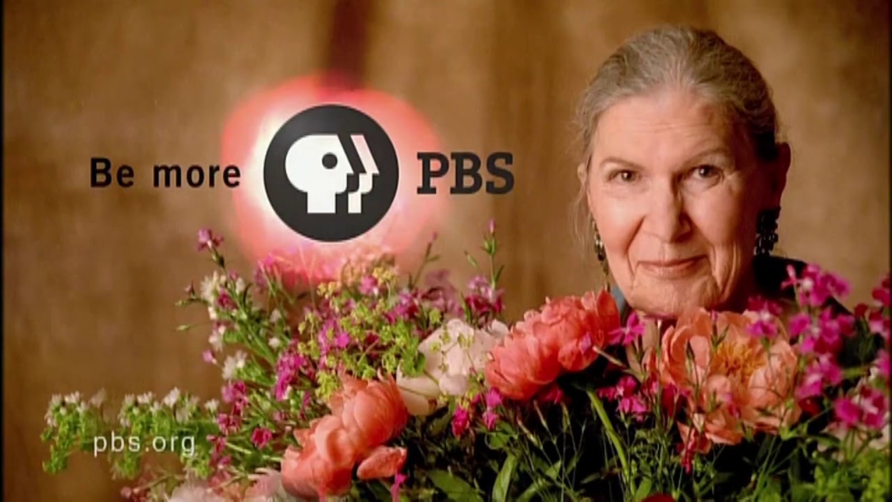 PBS 2002-2010 GRAPHIC REEL - YouTube