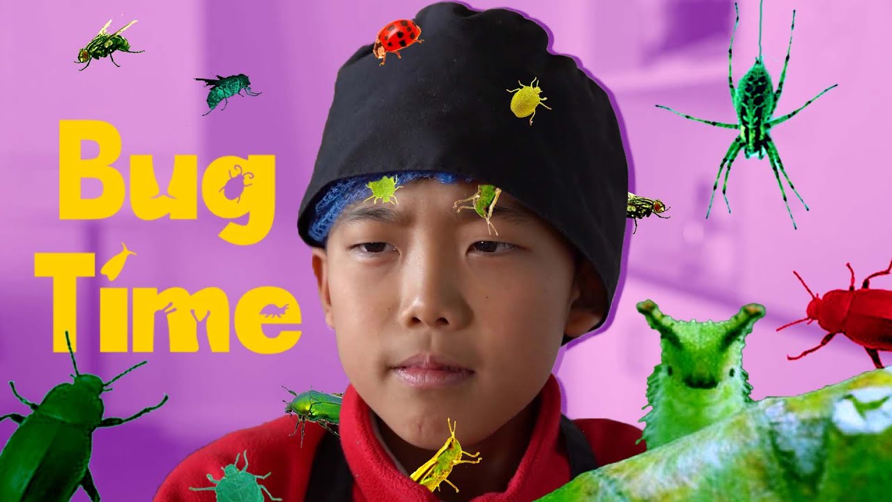 Bug Time - YouTube