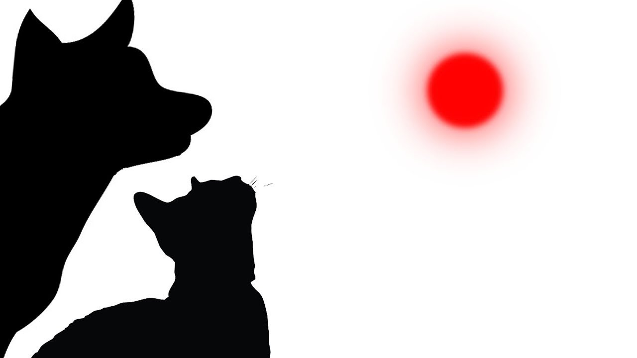 CAT GAMES - RED LIGHT DELIGHT (FOR CATS ONLY) - YouTube