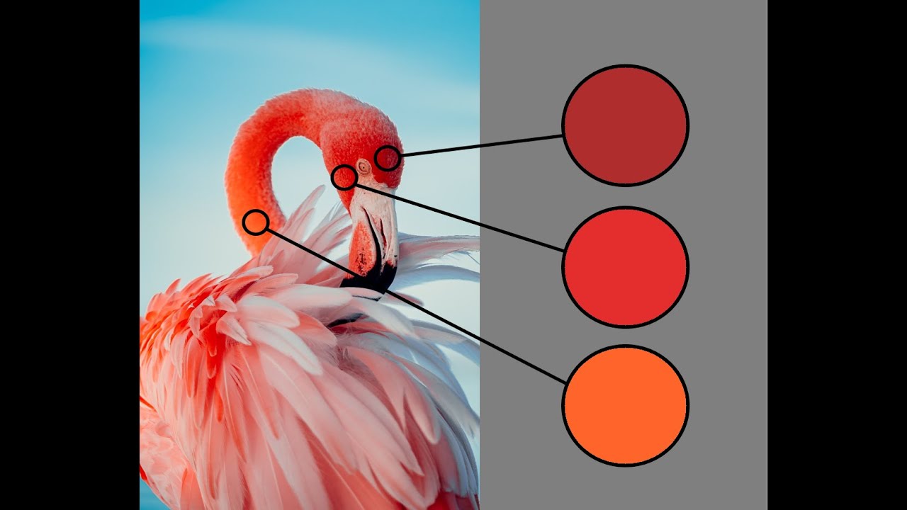 Color Recipes #015: Flamingos! Color Mixing Challenge for Oil and ...