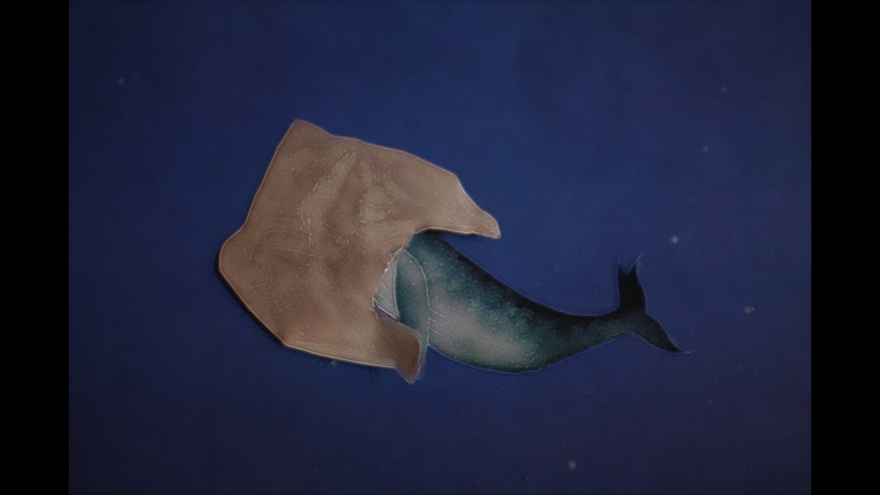 Stop Motion Whale - YouTube