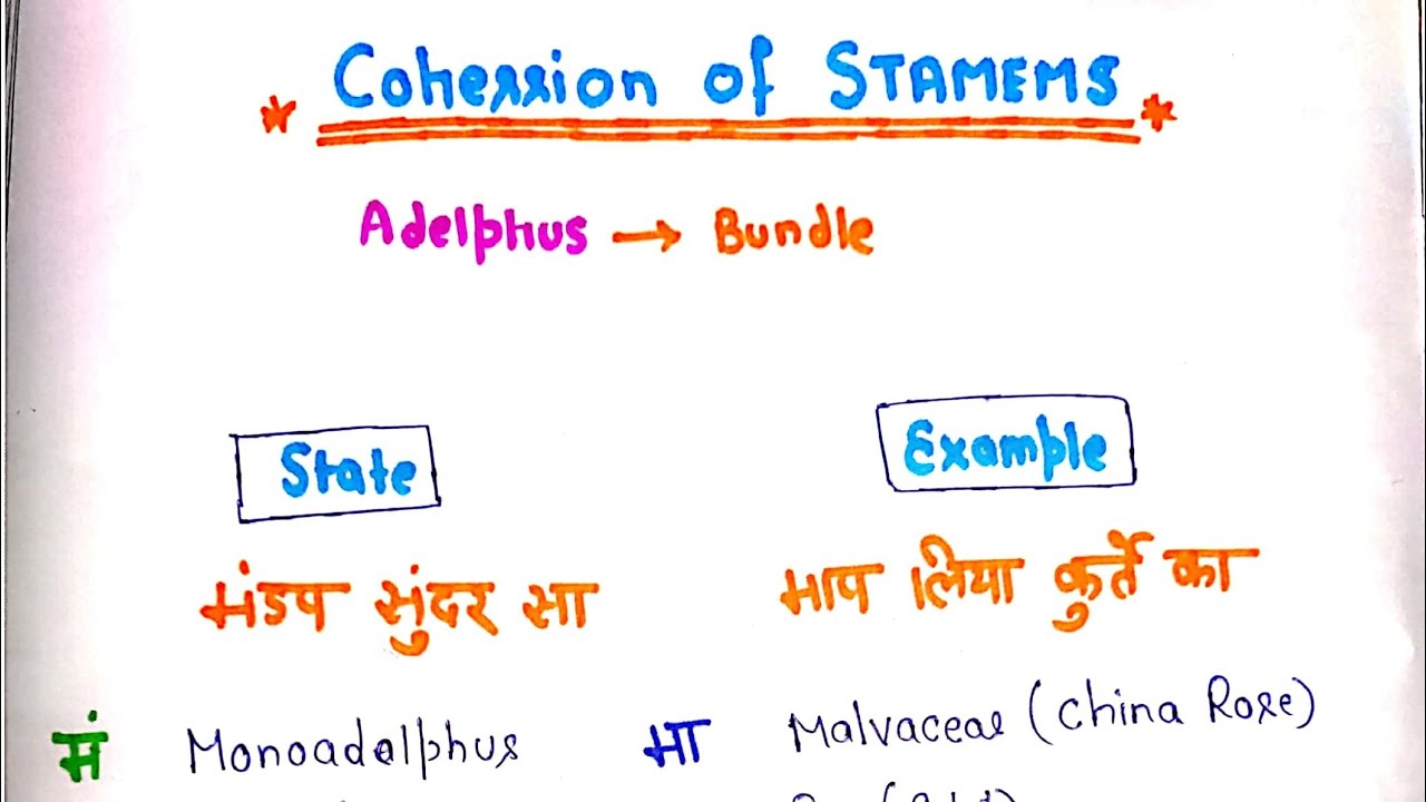 Cohesion of Stamens - Types & Example || Trick/Mnemonic || NEET 2020 ...